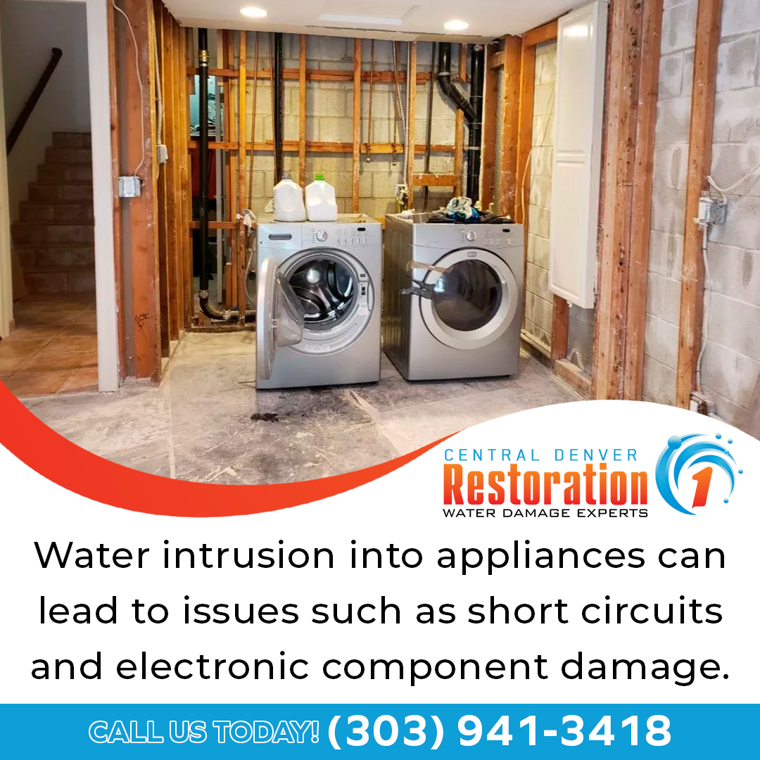 Resilient Homes: Battling Water Damage and Mold Impact on Electrical ...