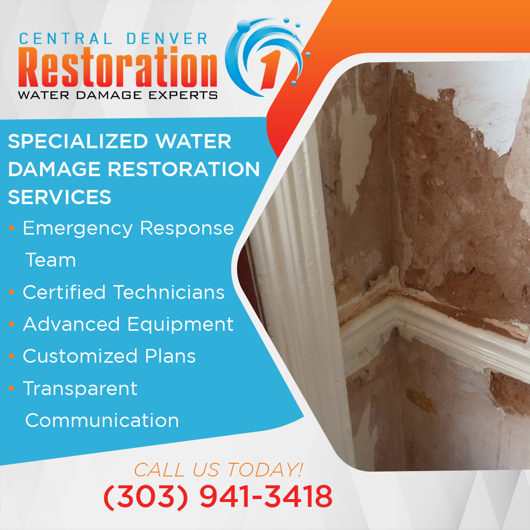 Understanding and Mitigating Water Damage in Kipling Hills With ...