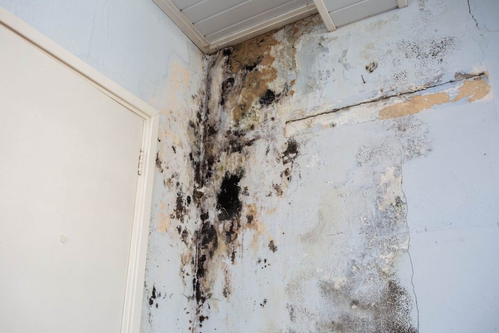 Downtown CO Water Damage Restoration 1 of Central Denver