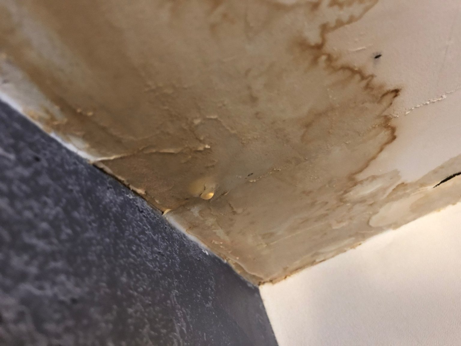 Downtown CO Water Damage Restoration 1 of Central Denver